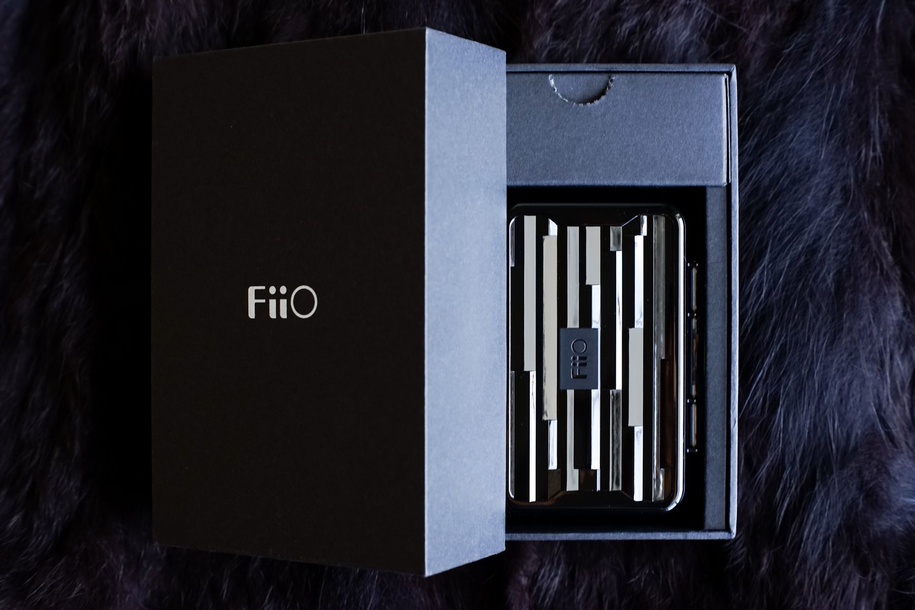 Fiio F5 Review – Apex Predator – Everyday Listening
