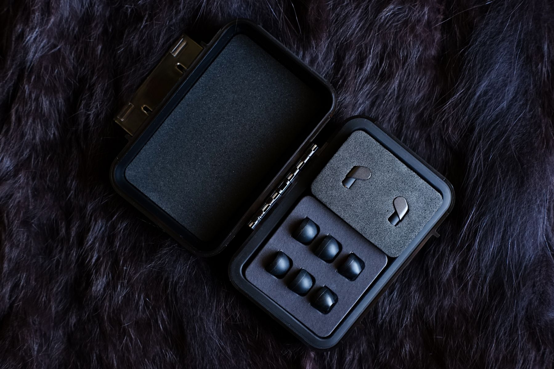 Fiio F5 Review – Apex Predator – Everyday Listening