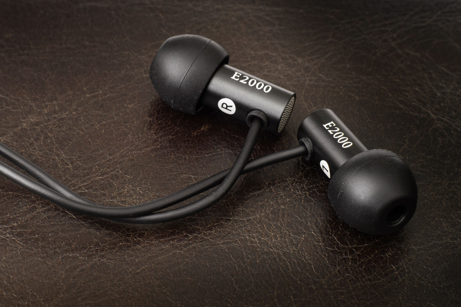 Final E2000 Review – Budget Delicacy – Everyday Listening