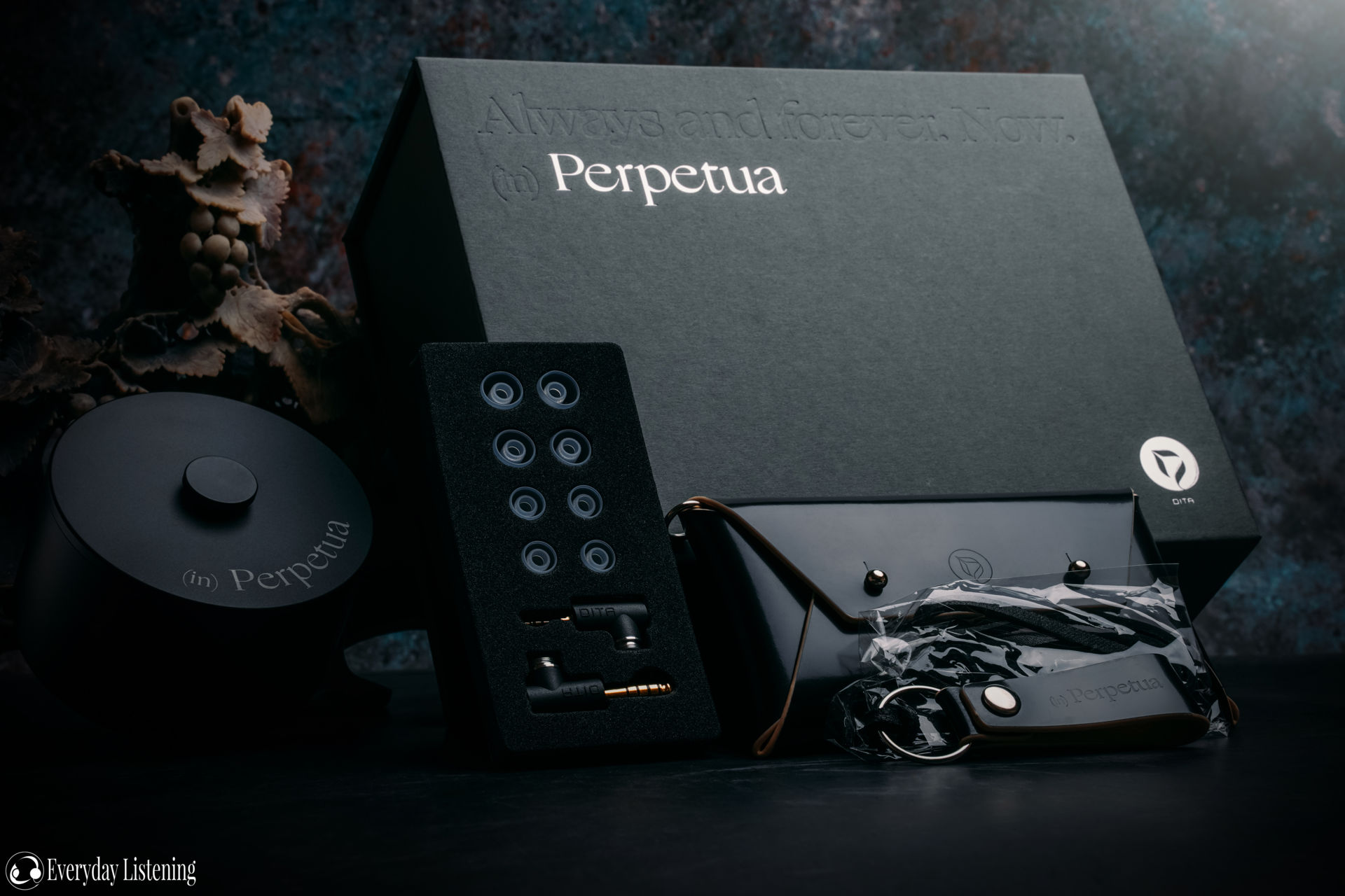 DITA Perpetua Review – Timeless – Everyday Listening